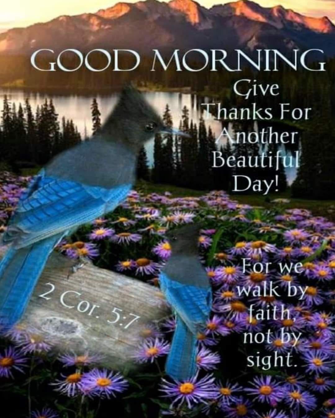 Give Thanks For Another Beautiful Day. Good Morning Pictures, Photos ...