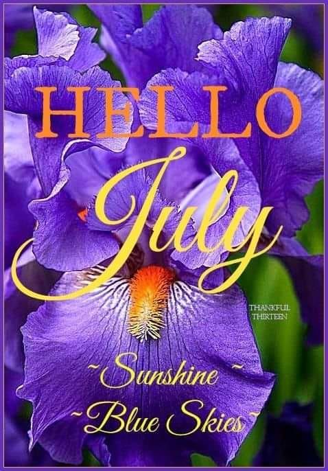 Purple Flower - Hello July Pictures, Photos, and Images for Facebook ...