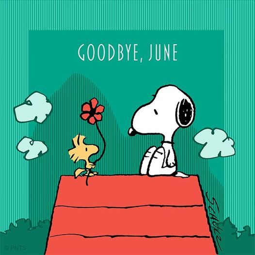 Goodbye June Pictures, Photos, and Images for Facebook, Tumblr ...