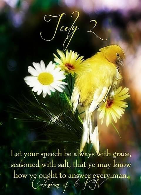 July 2 Pictures, Photos, and Images for Facebook, Tumblr, Pinterest ...