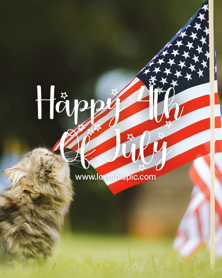 Happy 4th Of July With Cat And Flag Pictures, Photos, and Images for ...