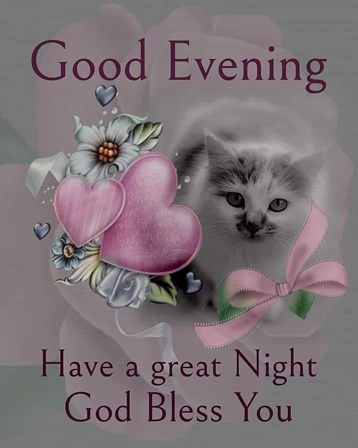 Have A Great Night And Good Evening Pictures, Photos, and Images for ...