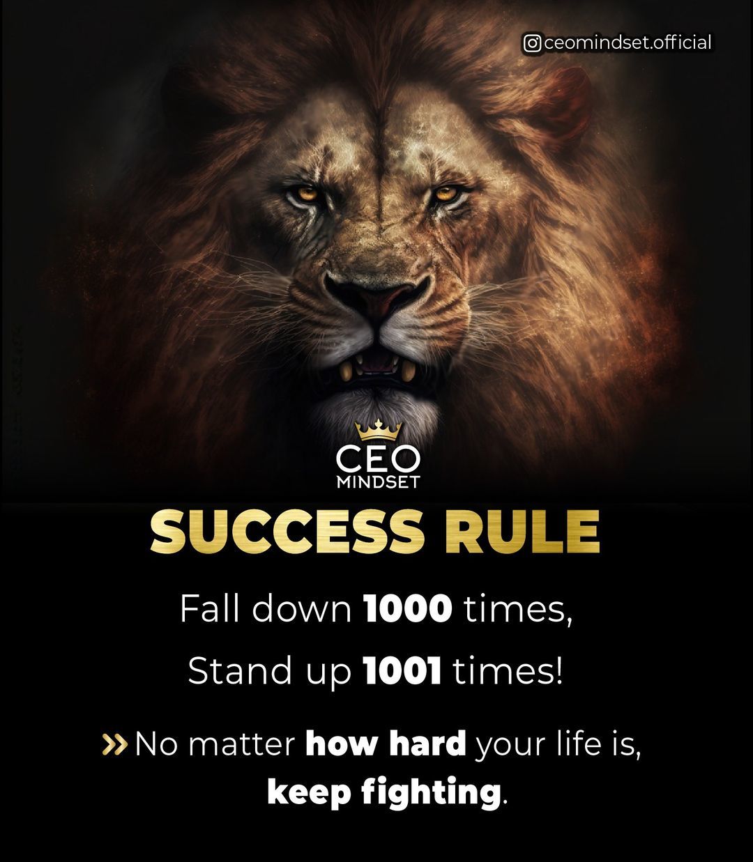 Success Rule Pictures, Photos, and Images for Facebook, Tumblr, Pinterest, and Twitter