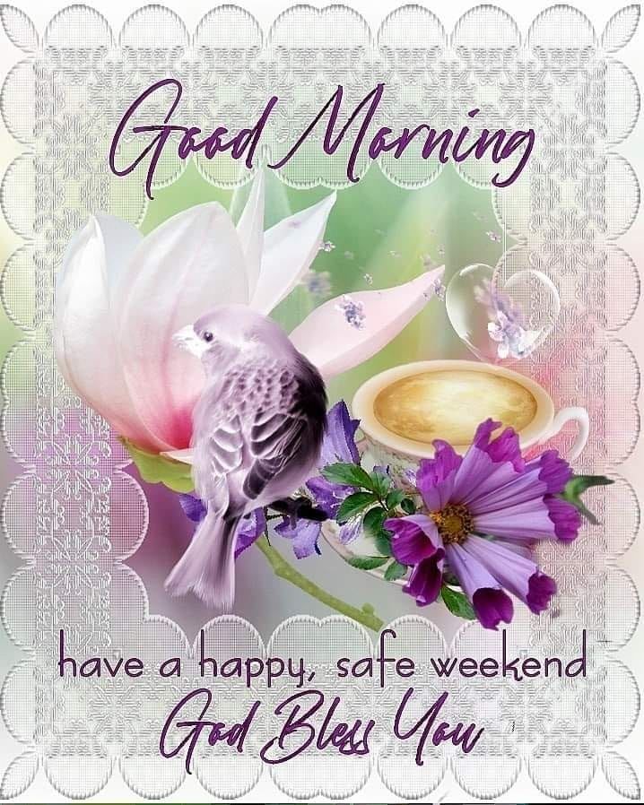 Have A Happy Safe, Weekend. Good Morning. Pictures, Photos, and Images ...