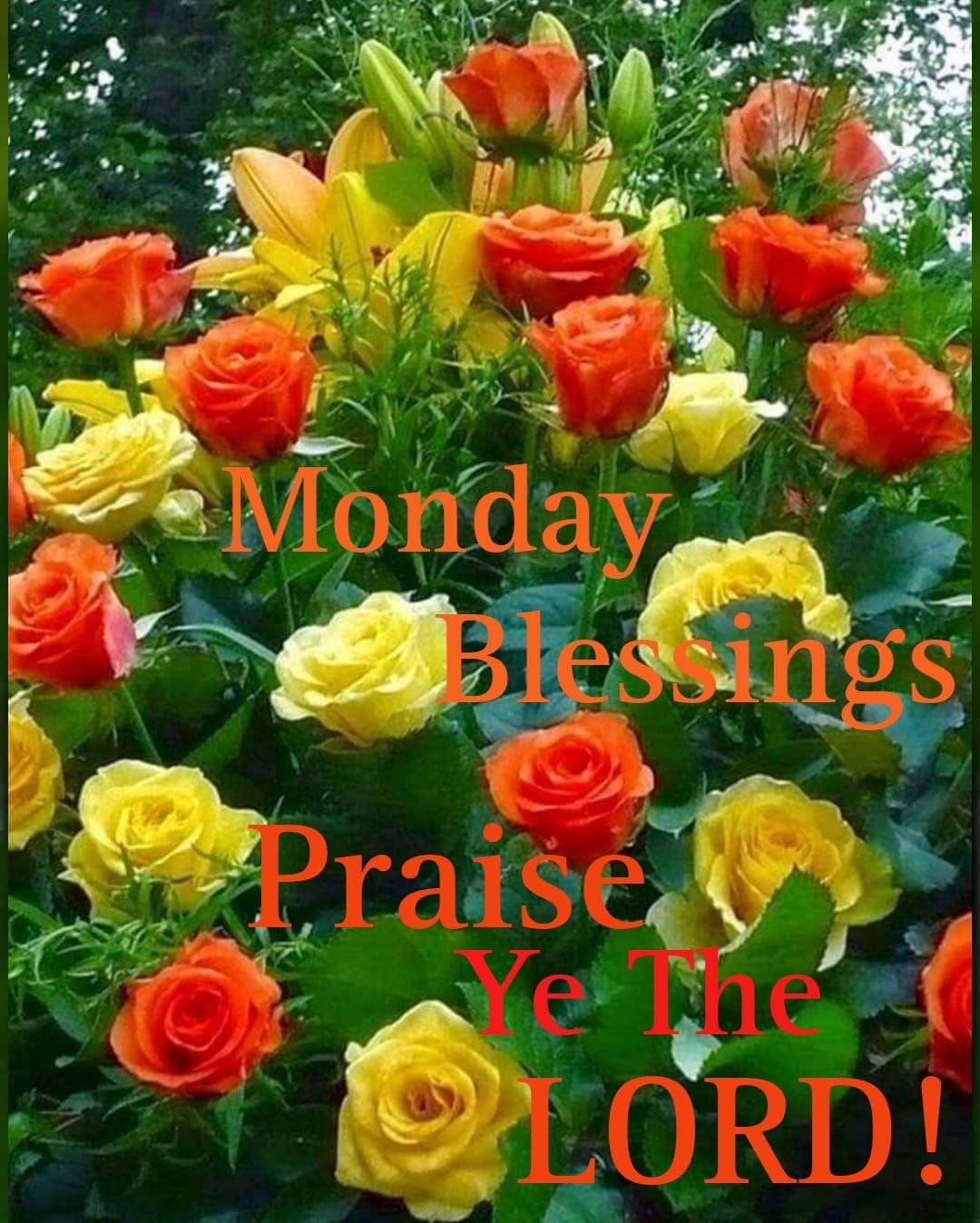 Praise Ye The Lord! Monday Blessings Pictures, Photos, and Images for ...