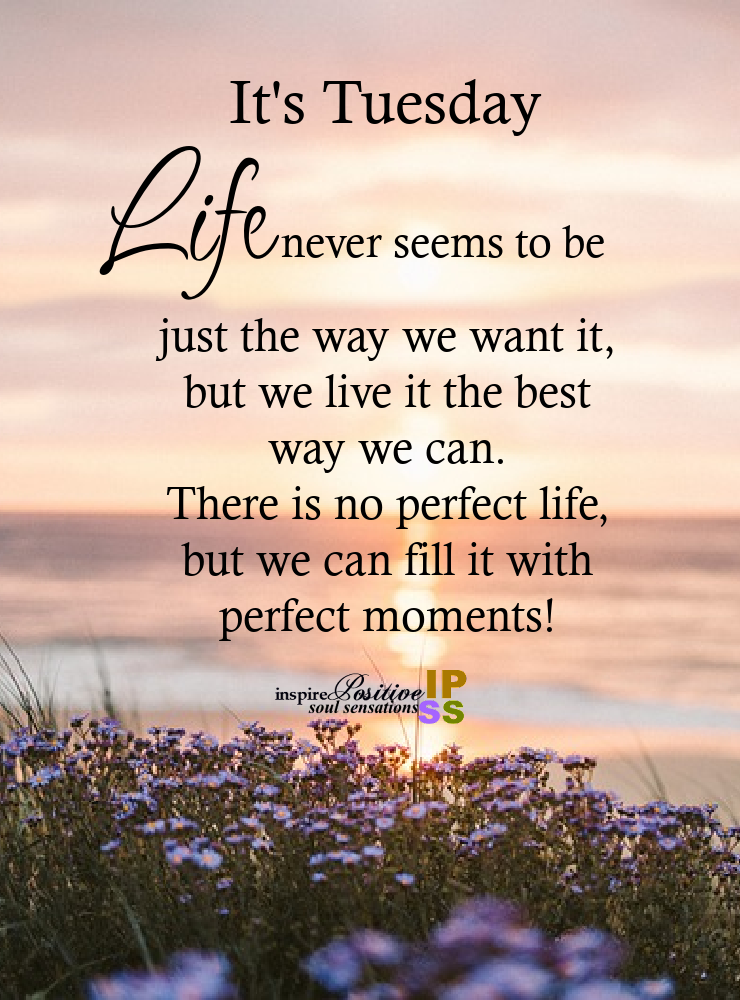 It's Tuesday: Life Never Seems To Be Just The Way We Want It, But We ...