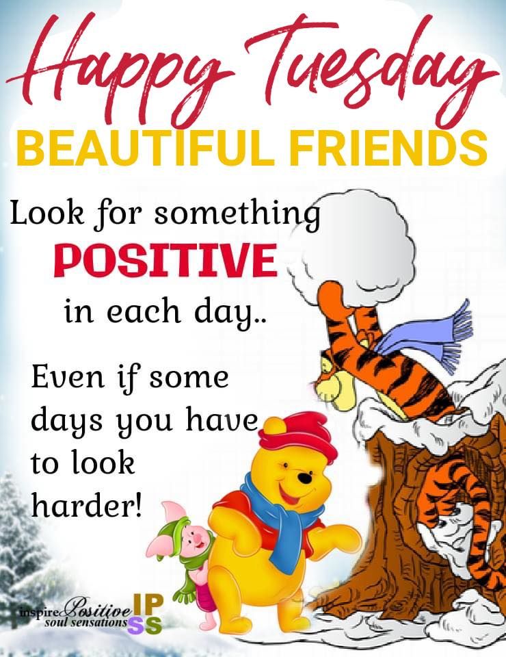 Happy Tuesday! Look For Something POSITIVE In Each Day.. Pictures ...