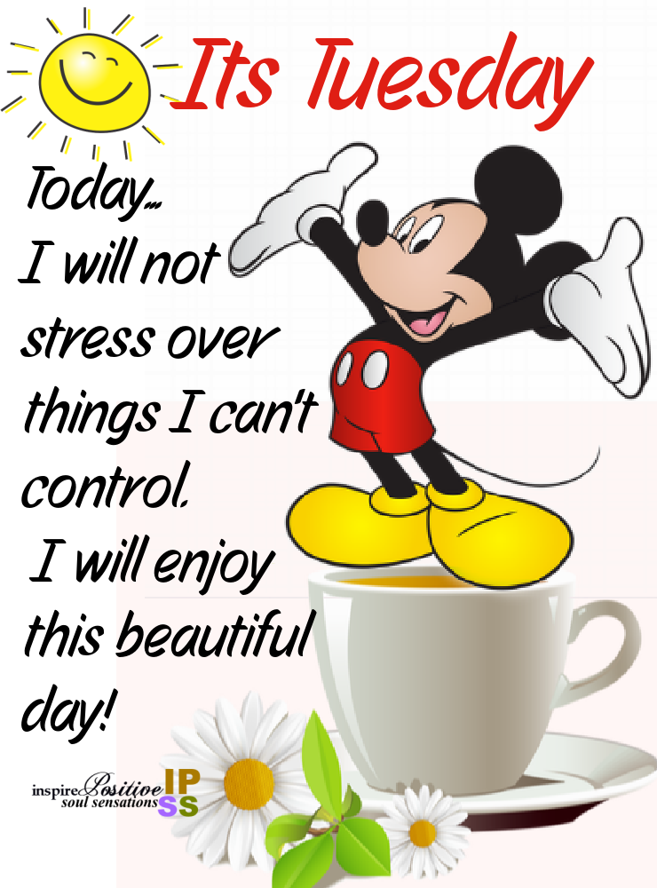 It's Tuesday! Today... I Will Not Stress Over Things I Can't Control. I ...