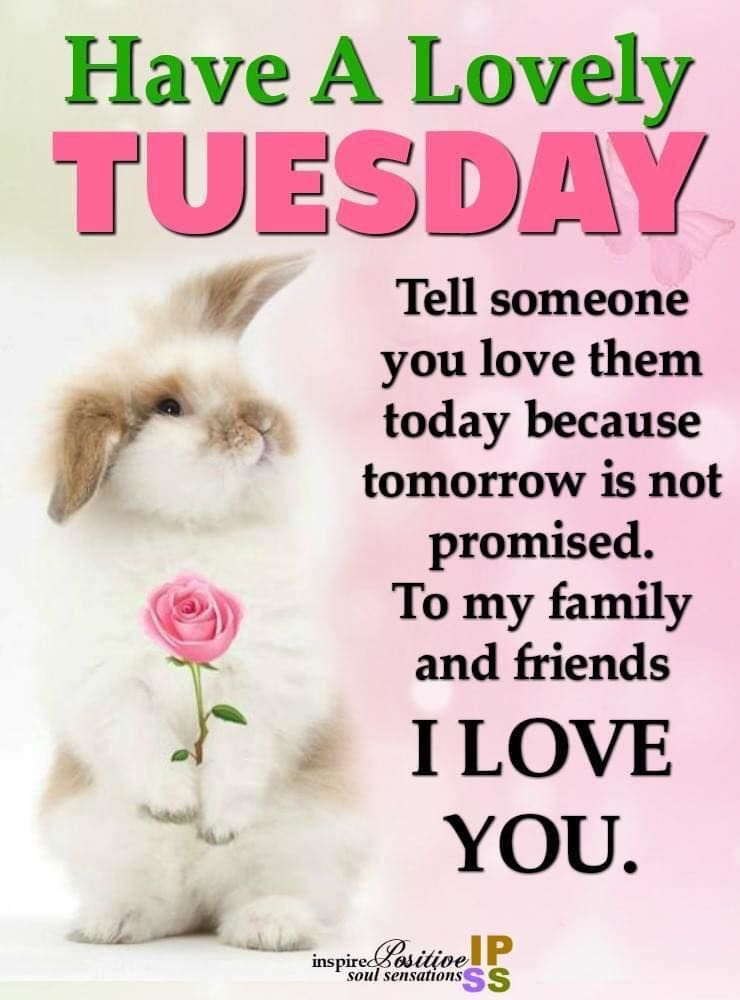 Tell Someone You Love Them Today. Have A Lovely Tuesday Pictures ...