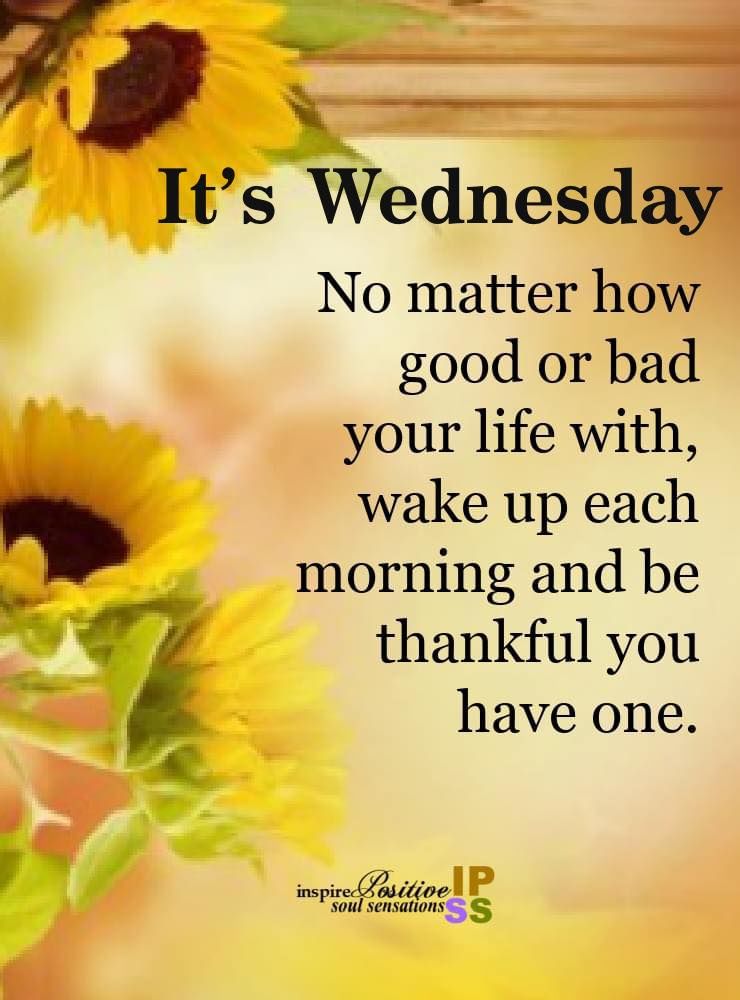 It’s Wednesday! No Matter How Good Or Bad Your Life With, Wake Up Each ...