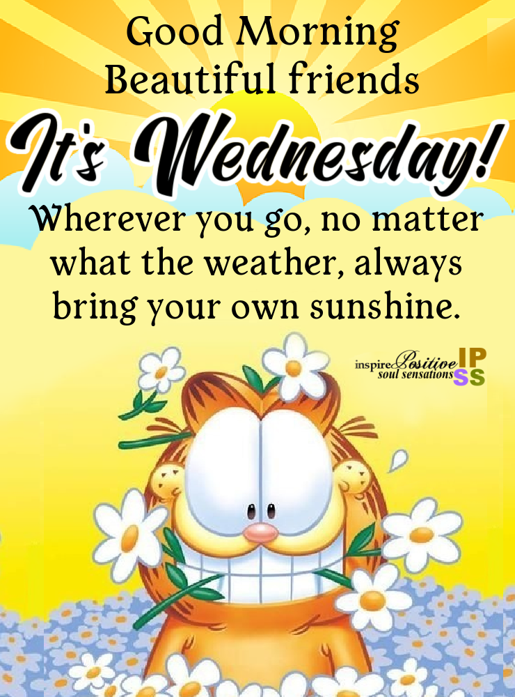 Wherever You Go, No Matter What The Weather, Always Bring Your Own ...