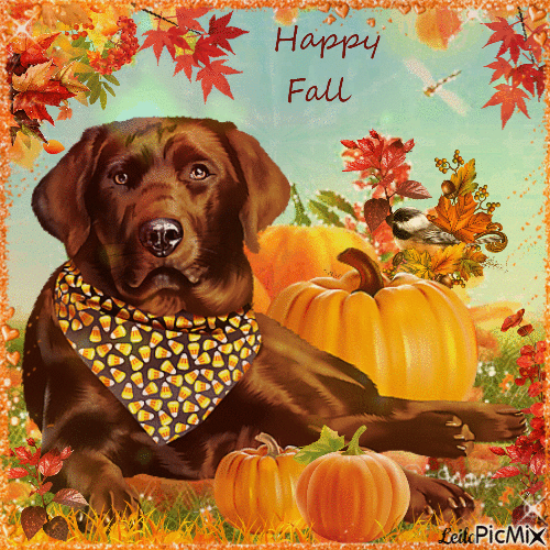 Autumn Dog - Happy Fall Gif Pictures, Photos, and Images for Facebook ...