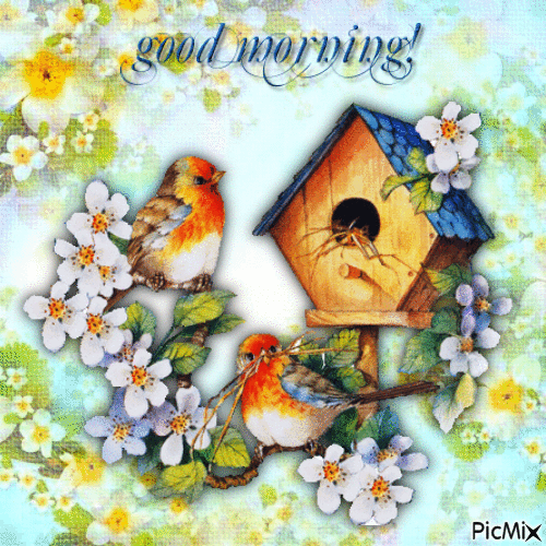 Good Morning Floral Birds Pictures, Photos, and Images for Facebook ...