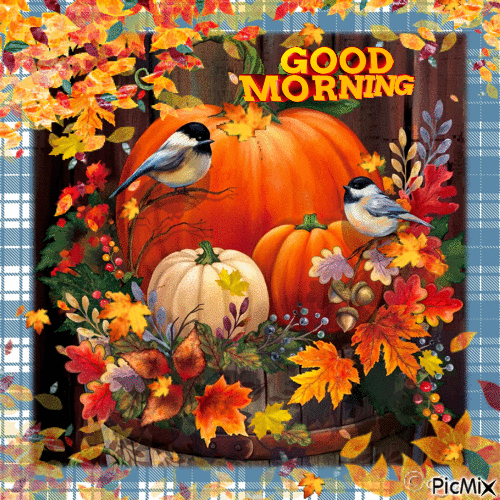 Good Morning Pumpkin & Birds Pictures, Photos, and Images for Facebook ...