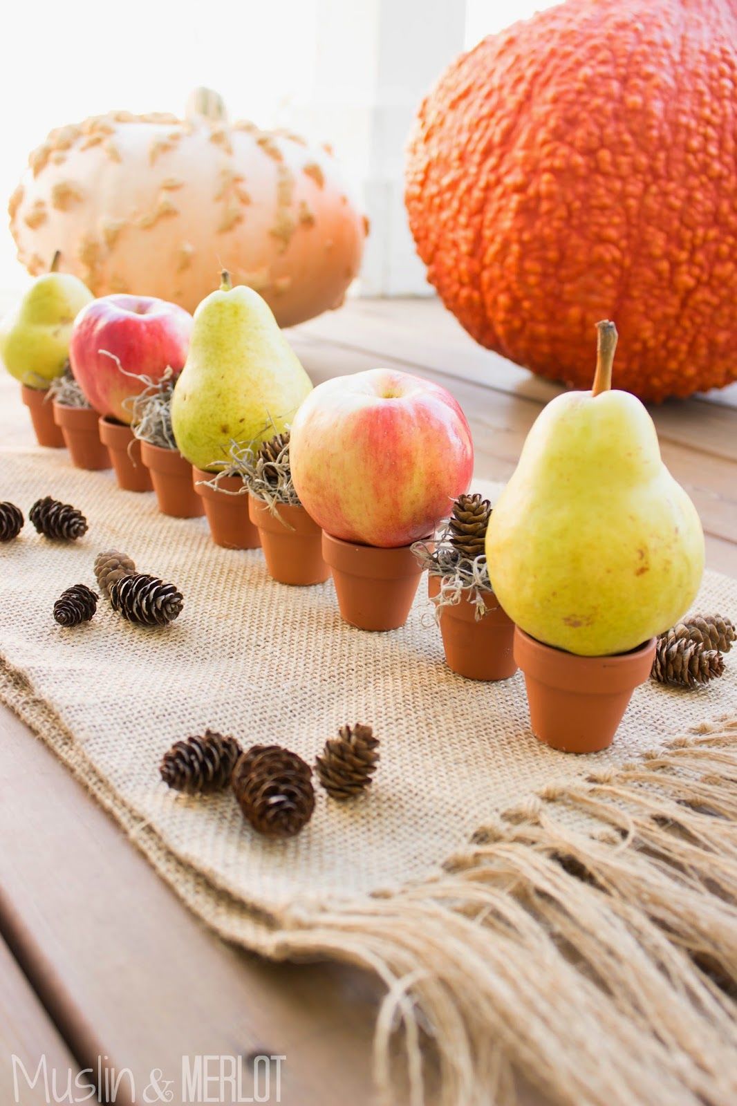 Rustic Fall Fruit Centerpiece Pictures, Photos, and Images for Facebook ...