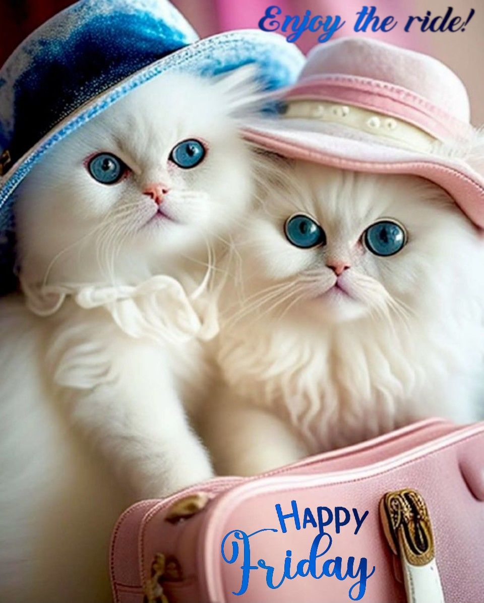 Enjoy The Ride, Happy Friday Pictures, Photos, and Images for Facebook ...