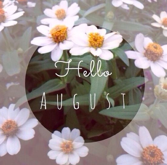 Hello August Greeting With Beautiful White Flowers Pictures, Photos ...