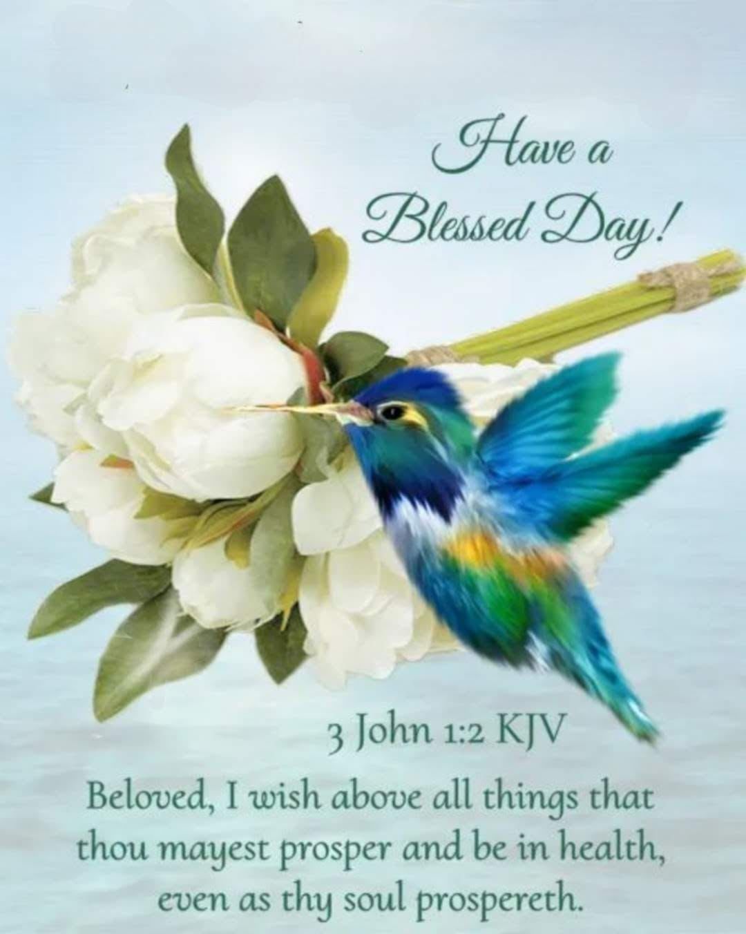 Beautiful Hummingbird - Have A Blessed Day Pictures, Photos, and Images ...