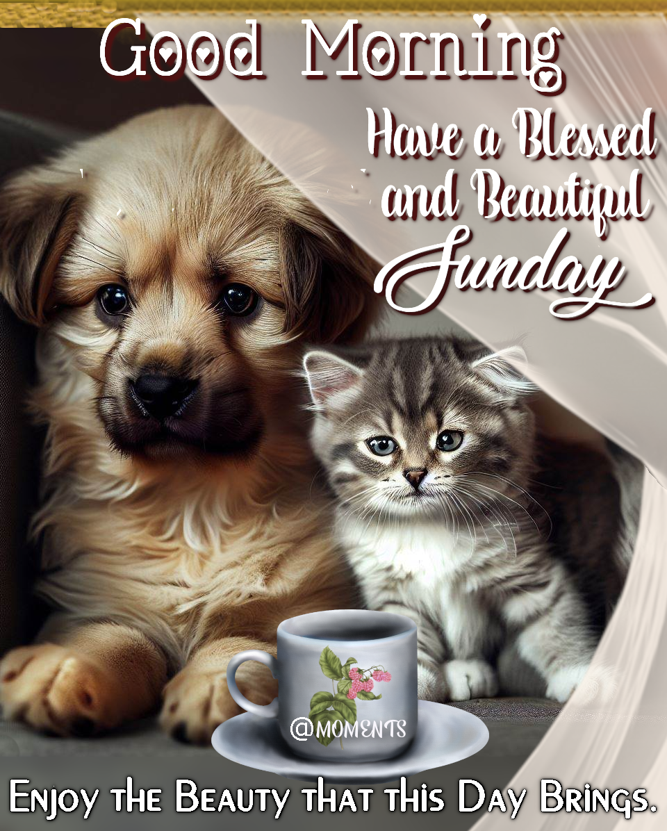 Enjoy The Beauty That This Day Brings; Good Morning, Have A Beautiful ...