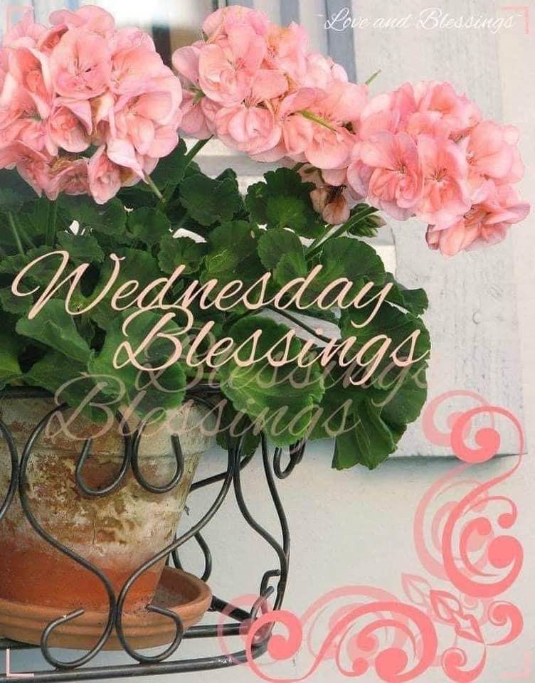 Wednesday Blessings With Pink Flowers Pictures, Photos, and Images for ...