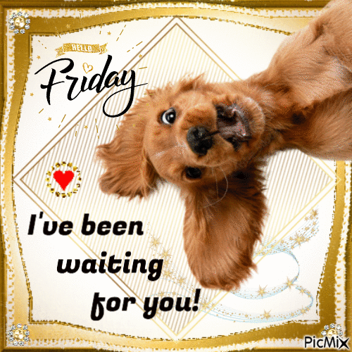 Hello Friday, I've Been Waiting For You! Pictures, Photos, and Images ...