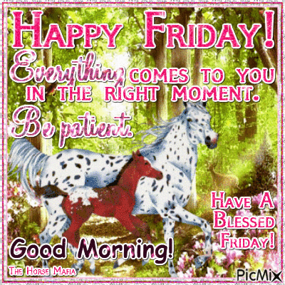 Everything Comes To You In The Right Moment. Happy Friday! Pictures ...