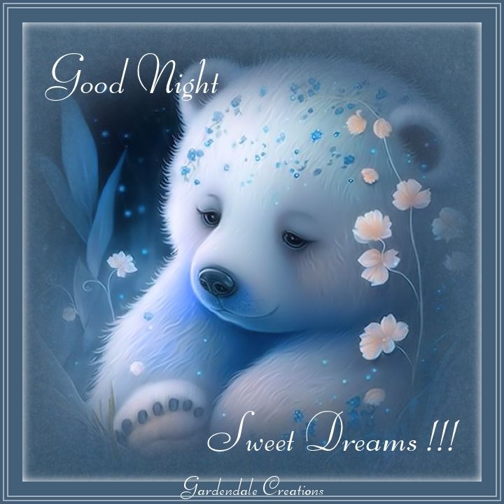 Good Night Bear Pictures