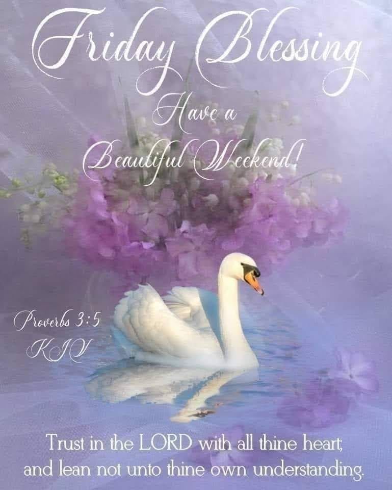 Pretty Swan - Friday Blessing Pictures, Photos, and Images for Facebook ...