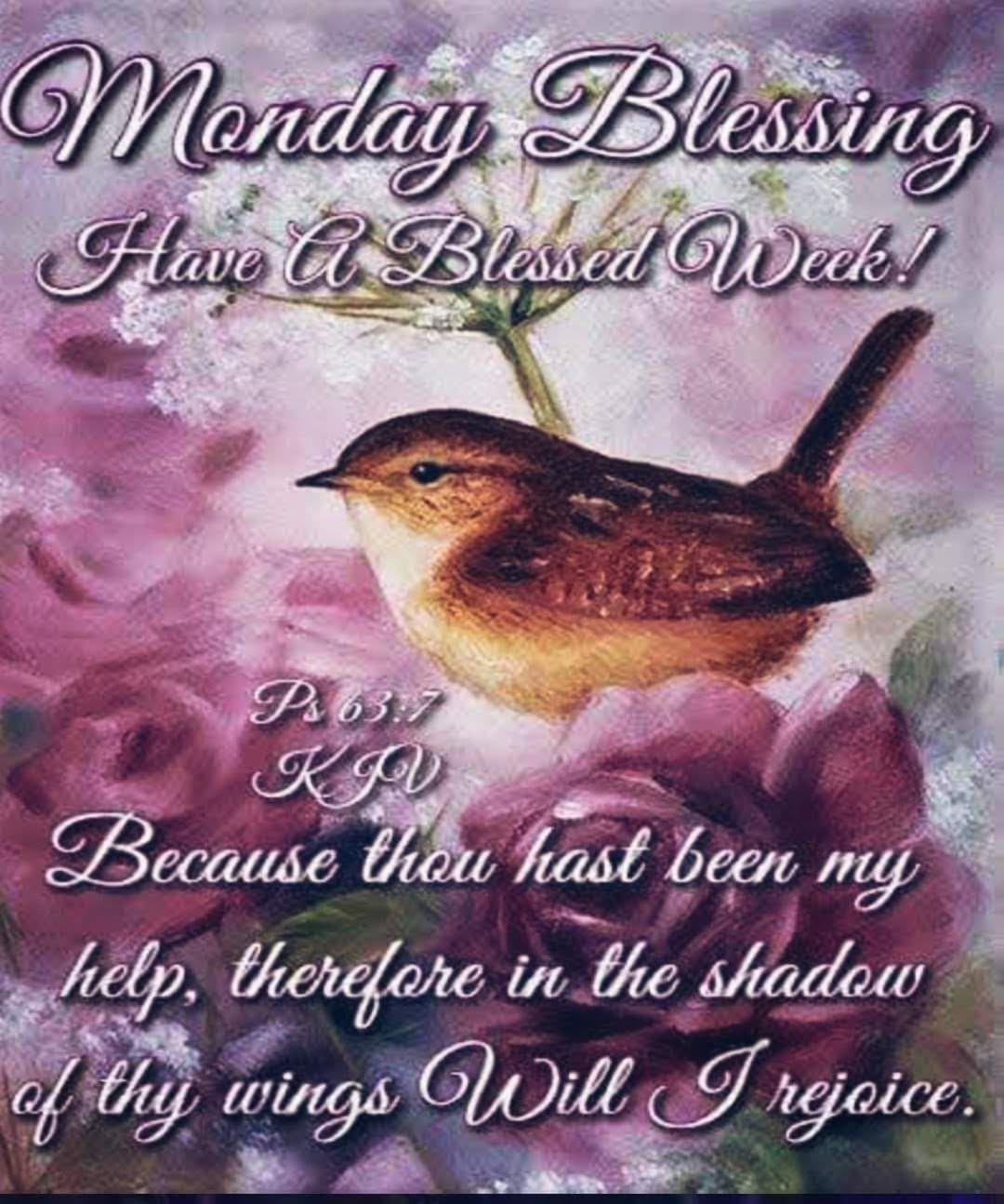 Have A Blessed Week And Monday Pictures, Photos, and Images for ...
