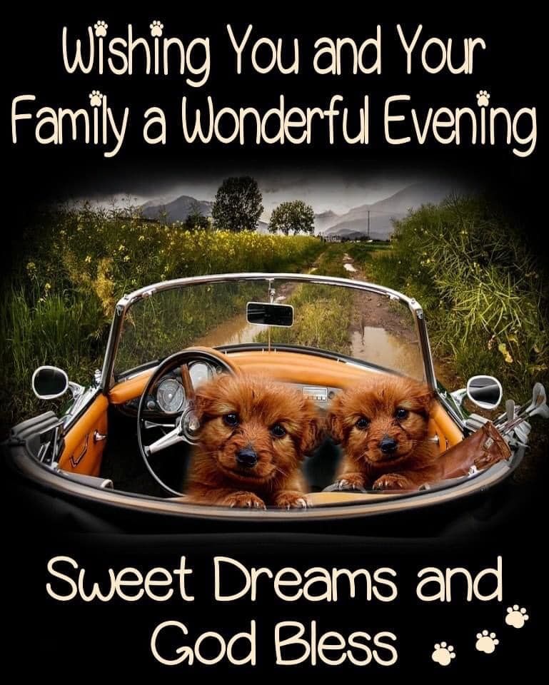Wishing You And Your Family A Wonderful Evening Pictures, Photos, and ...
