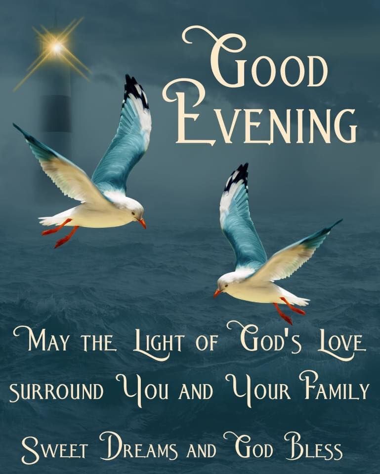 Good Evening Greeting With Flying Birds Pictures, Photos, and Images for Facebook, Tumblr ...