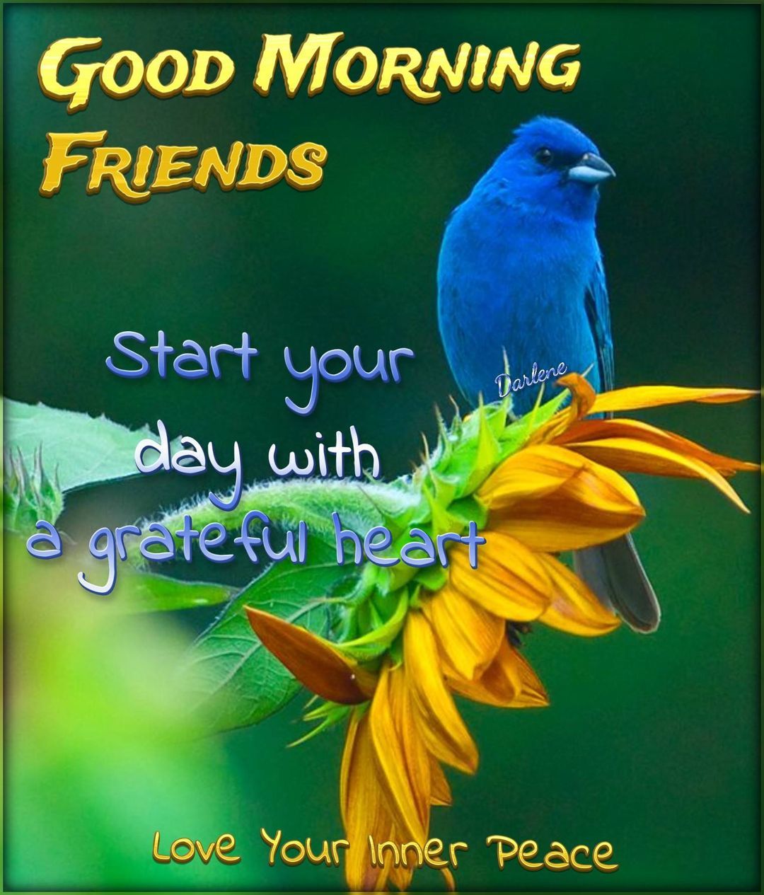 Grateful Good Morning Message For Friends Pictures, Photos, and Images ...