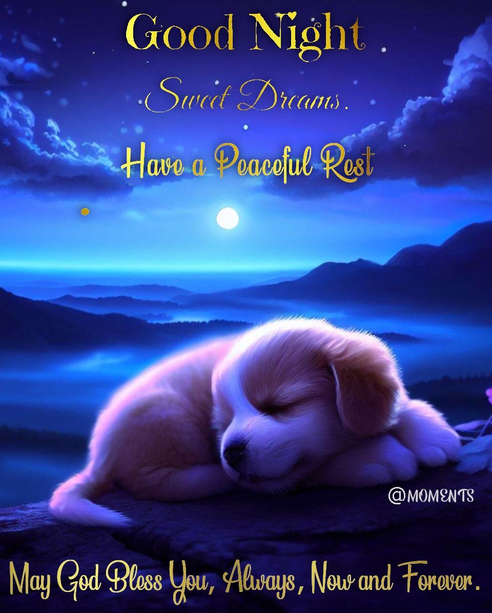 Resting Puppy - Good Night And Sweet Dreams Pictures, Photos, and ...