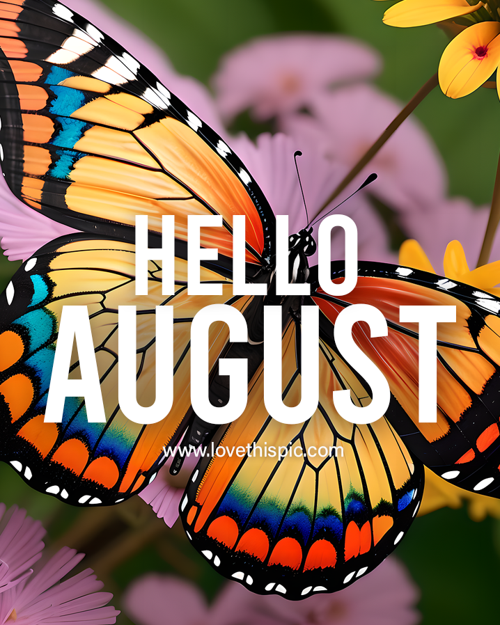 Beautiful Butterfly - Hello August Pictures, Photos, and Images for ...