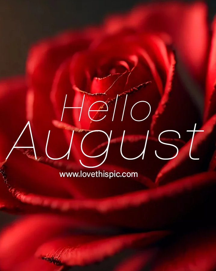 Red Rose Hello August Image Pictures, Photos, and Images for Facebook ...