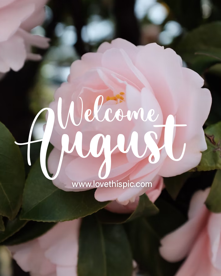 Welcome August Greeting With Pink Flowers Pictures, Photos, and Images ...