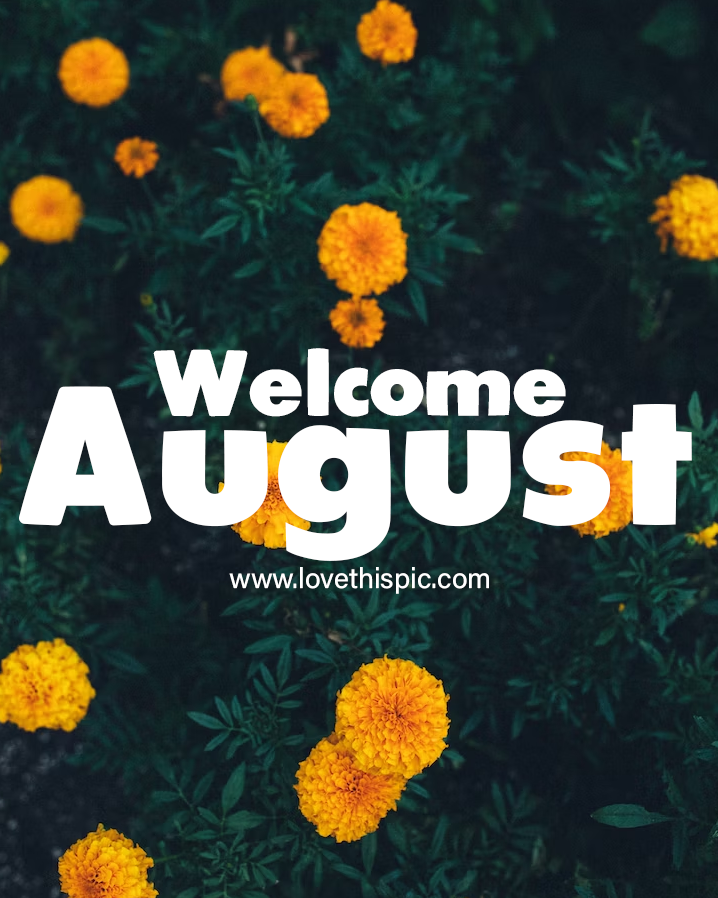 Yellow Bush Of Flowers - Welcome August Pictures, Photos, and Images ...