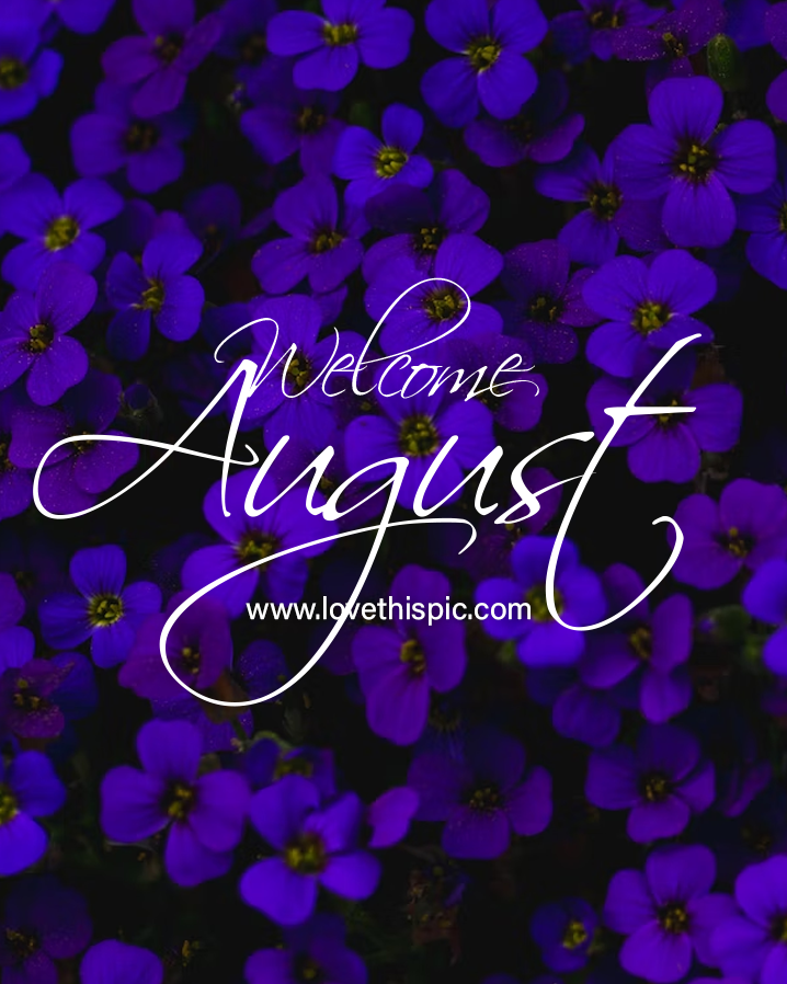 Welcome August With Beautiful Purple Flowers Pictures, Photos, and ...
