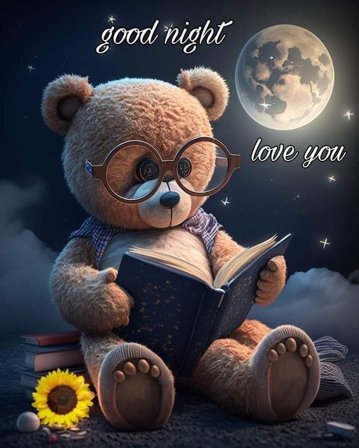 Good Night Bear Pictures