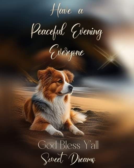 Resting Dog - Have A Peaceful Evening Pictures, Photos, and Images for ...