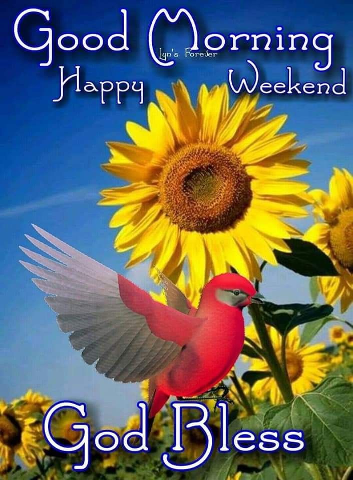 Good Morning Happy Weekend Pictures, Photos, and Images for Facebook ...