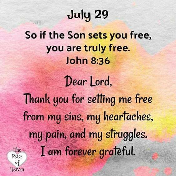 July 29 Blessings For You. So, If The Son Sets You Free, You Are Truly ...