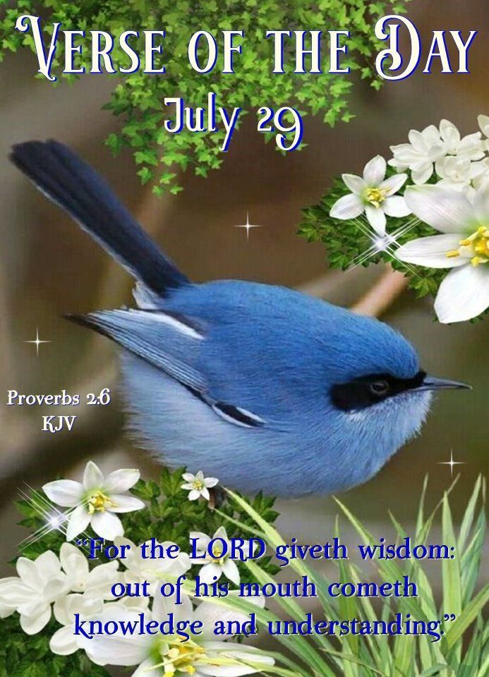 July 29 With Verse Of The Day Pictures, Photos, and Images for Facebook ...