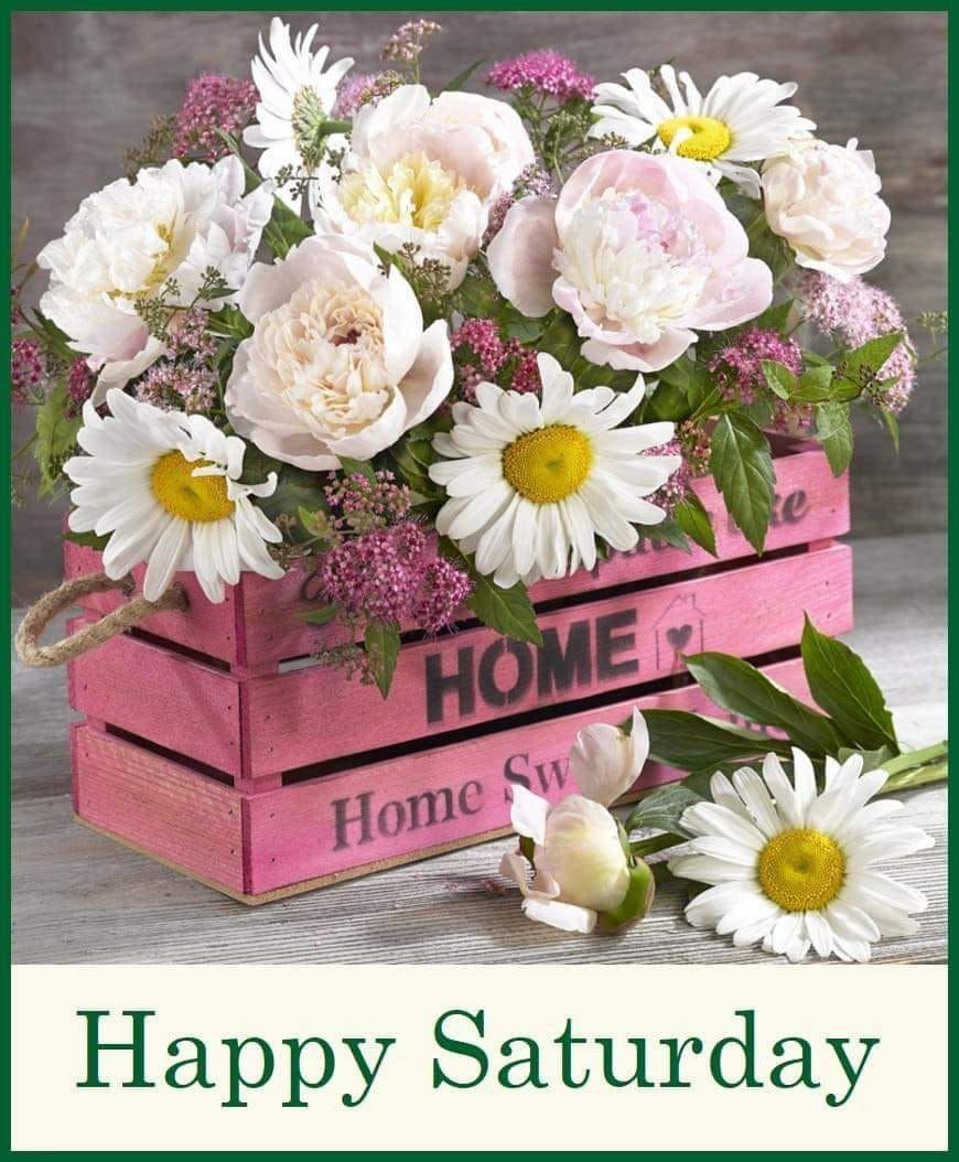 Happy Saturday