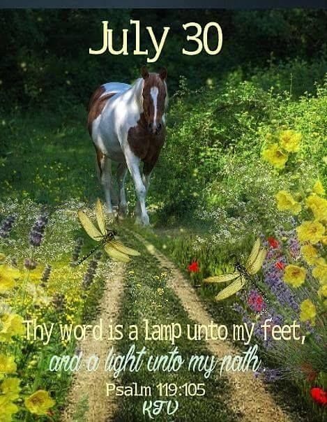 July 30: Thy Word Is A Lamp Unto My Feet, And A Light Unto My Path ...