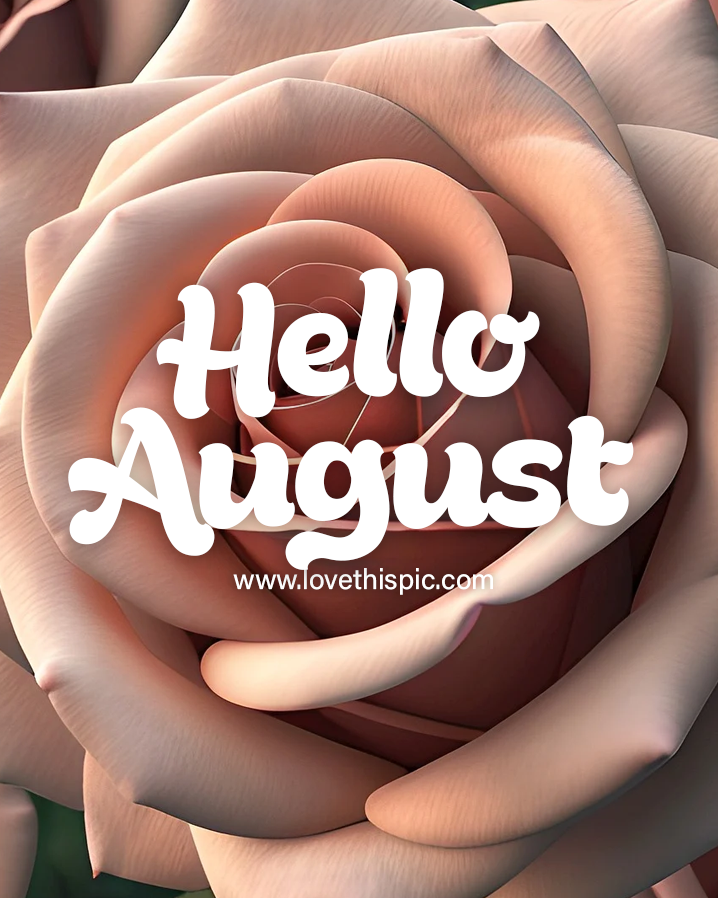 Hello August Rose Pictures, Photos, and Images for Facebook, Tumblr ...