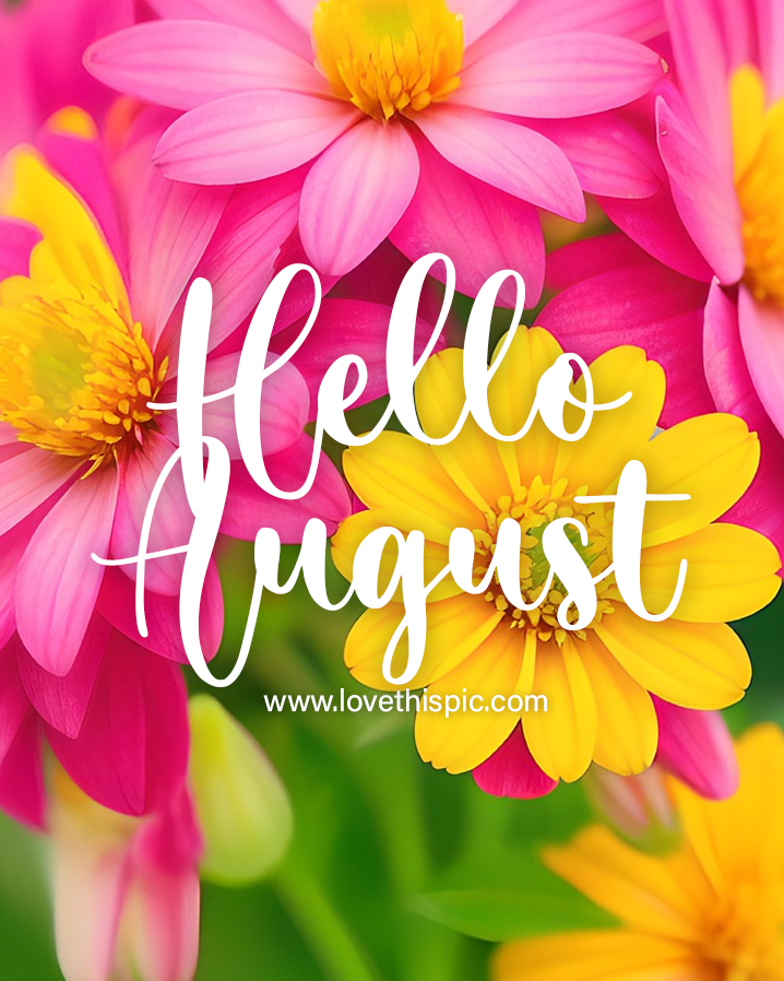 Hello August With Colorful Flowers Pictures, Photos, and Images for ...