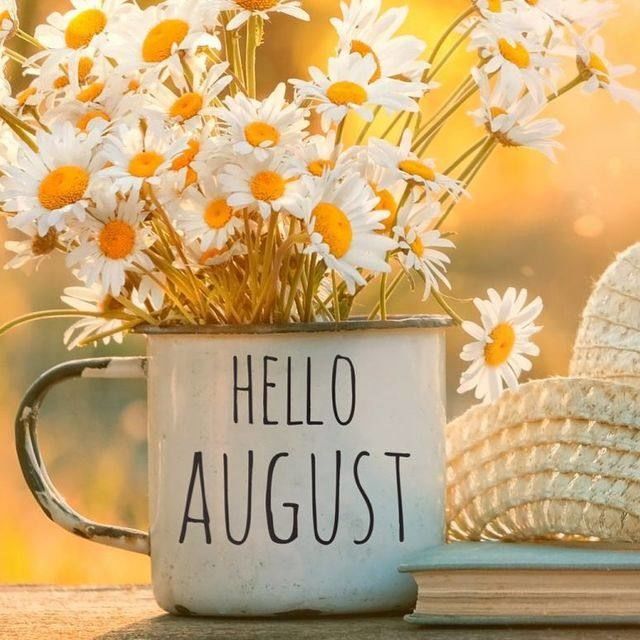 Hello August Mug Pictures, Photos, and Images for Facebook, Tumblr ...