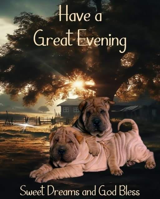 Great Evening Wishes With Dogs Pictures, Photos, and Images for ...