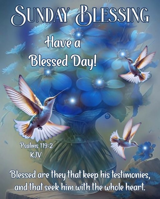 Flying Hummingbird Sunday Blessing Pictures, Photos, and Images for ...